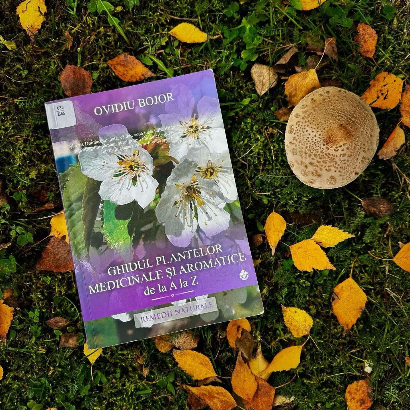 100 de ani de la nașterea lui Ovidiu Bojor – Instagram – BJPD