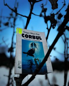 „Corbul” – 180 de ani de mister și poezie – Instagram – BJPD